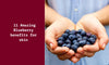 11 Amazing Blueberry benefits for skin - Ningen